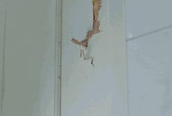 Its Poop Again Smashing Door For Toilet GIF | GIFDB.com