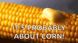 Its Scrumptious Yellow Corn Melted Butter GIF | GIFDB.com