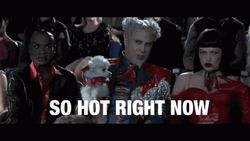 Its So Hot Zoolander GIF | GIFDB.com