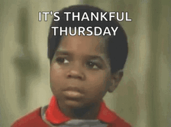 Its Thankful Thursday Meme GIF | GIFDB.com