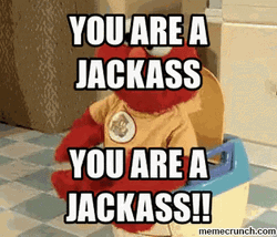 Jackass 400 X 342 Gif GIF | GIFDB.com