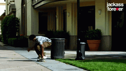 Jackass 498 X 280 Gif GIF | GIFDB.com