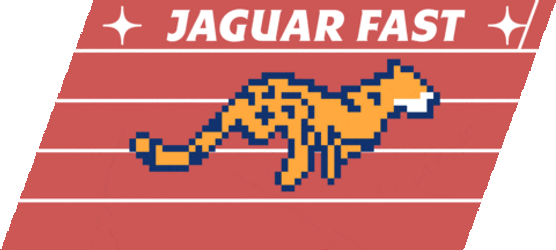 Jaguar Fast Running GIF | GIFDB.com