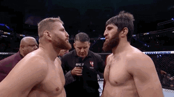 Jan Btachowicz Face Off With Magomed Ankalaev GIF | GIFDB.com