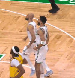 Jayson Tatum Jumping Happy GIF | GIFDB.com
