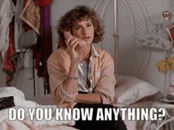 Jeanie Bueller Do You Know Anything GIF | GIFDB.com