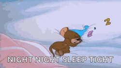Jerry Mouse Night Night Sleep Tight GIF | GIFDB.com