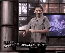 Jerry Springer Tv Series Karate Chop GIF | GIFDB.com