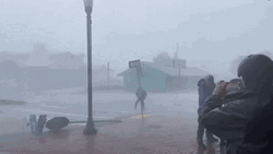 Jim Cantore Weather Reporter GIF | GIFDB.com