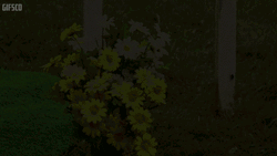 Jim Lahey Trailer Park Boys Flower Pick Introduce Self GIF | GIFDB.com