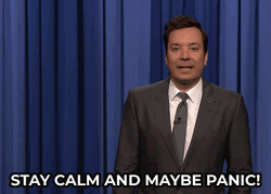Jimmy Fallon Stay Calm And Maybe Panic GIF | GIFDB.com