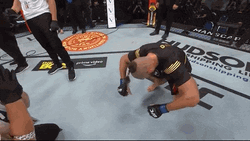 Jiri Prochazka Full Body Bow GIF | GIFDB.com