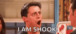 Joey Tribbiani Shook Face GIF | GIFDB.com