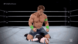 John Cena Vs Puppet Wrestlemania GIF | GIFDB.com