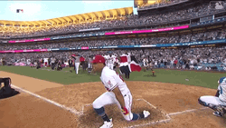Juan Soto Celebration GIF | GIFDB.com