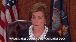 Judge Judy Funny Duck GIF | GIFDB.com
