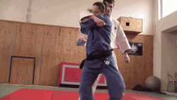 Judo Throw Practice GIF | GIFDB.com