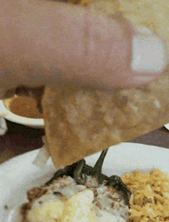 Juicy Tacos Dripping GIF | GIFDB.com