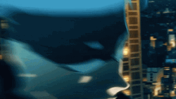 Jujutsu Kaisen Gojo City Blast GIF | GIFDB.com