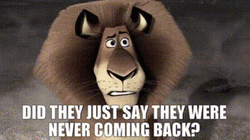 Just Say They Were Never Coming Back GIF | GIFDB.com
