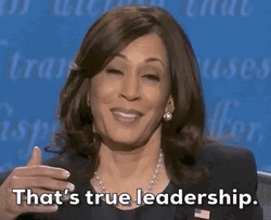 Leadership Computer Visual Art GIF | GIFDB.com