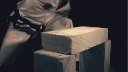 Karate Chop Slow Motion Breaking Bricks GIF | GIFDB.com