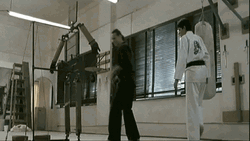 Karate Kid Practice GIF | GIFDB.com