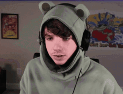 Karl Jacobs Frog Hoodie GIF | GIFDB.com