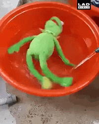 Kermit Floating In Water Meme GIF | GIFDB.com