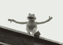 Dancing Frog Animated Gif