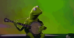 Kermit The Frog Playing Banjo Meme GIF | GIFDB.com
