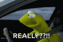 Kermit The Frog Really GIF | GIFDB.com