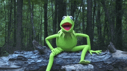 Kermit The Frog Water Doused Meme GIF | GIFDB.com