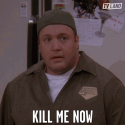 Kevin James Serious Kill Me Now GIF | GIFDB.com