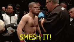 Khabib Getting Ready Smash It GIF | GIFDB.com