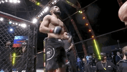 Khabib Praying Before Match GIF | GIFDB.com