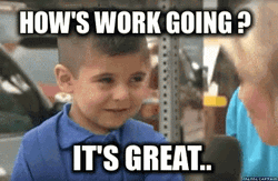 Kid Crying Meme Work Work Work GIF | GIFDB.com