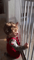 Kid Shaking The Railings Get Me Outta Here GIF | GIFDB.com