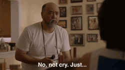 Kim's Convenience Appa Crying Meme GIF | GIFDB.com