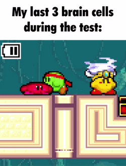 Kirby Last Three Brain Cells During Test Meme GIF | GIFDB.com