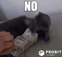Kitty Claiming Money Meme GIF | GIFDB.com