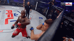 Knockout Referee Stopped Brutal Fight GIF | GIFDB.com