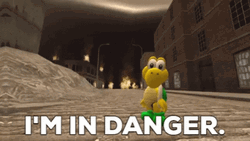 Koopa Troopa Im In Danger GIF | GIFDB.com