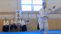 Kung Fu Practice Class GIF | GIFDB.com