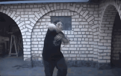 Kung Fu Fighting Moves GIF | GIFDB.com