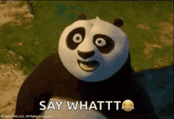 Kung Fu Panda Po Say What GIF | GIFDB.com