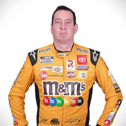 Kyle Busch GIFs | GIFDB.com
