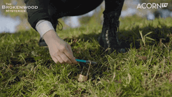 Lady Police Investigates The Brokenwood GIF | GIFDB.com