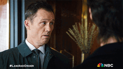 Law And Order Detective Shaw GIF | GIFDB.com