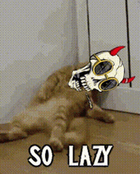 Lazy GIFs | GIFDB.com